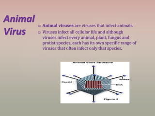 Virology: study of virus | PPTX | Operating Systems | Computer Software ...