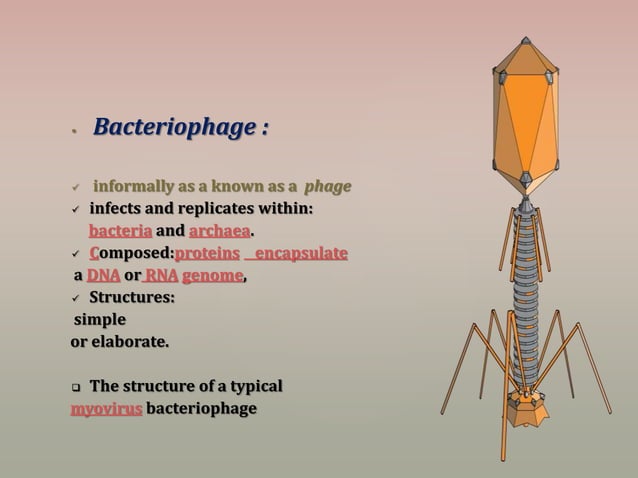 Virology: study of virus | PPT