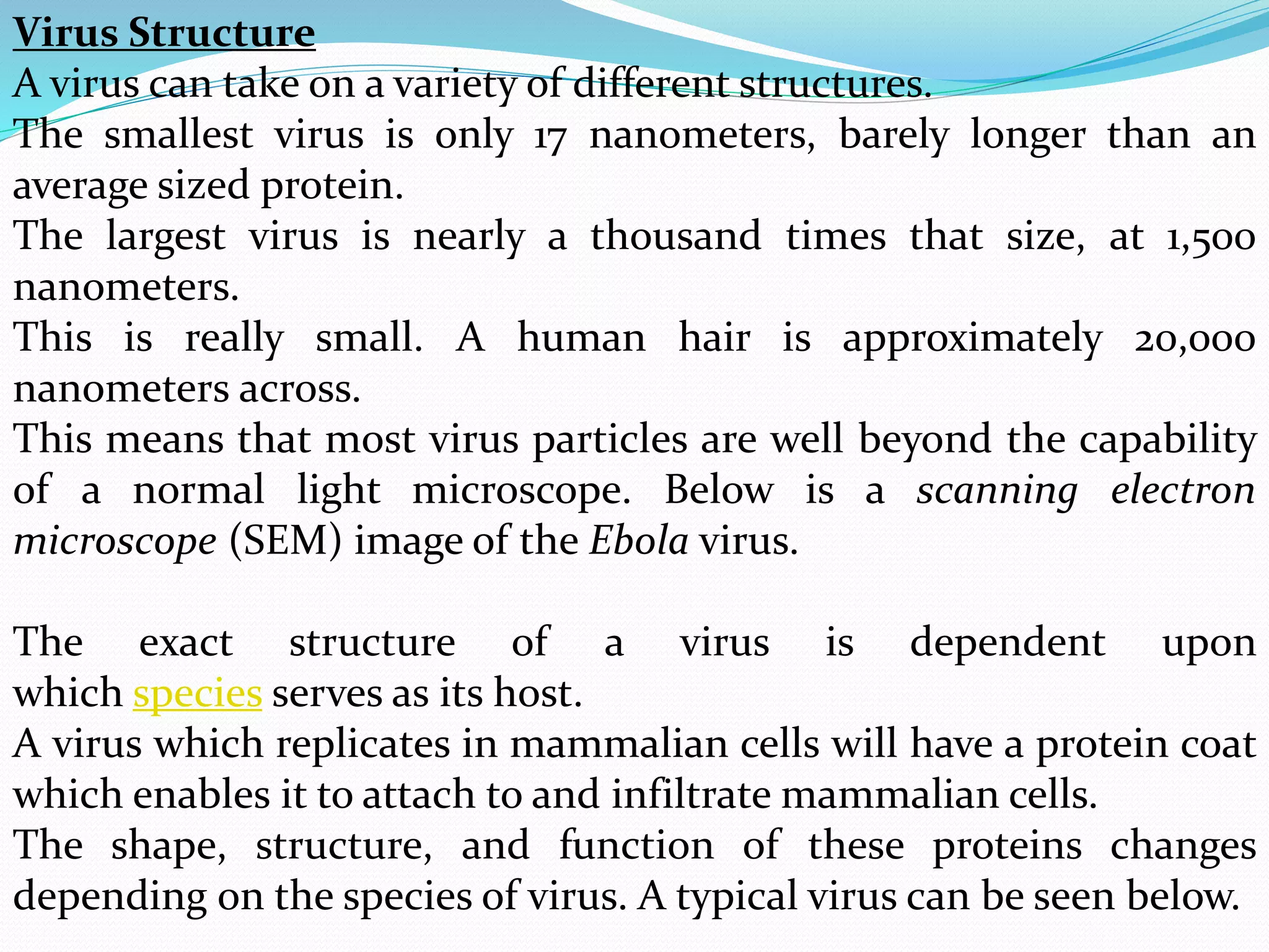 Virology | PPTX