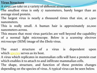 Virology | PPTX