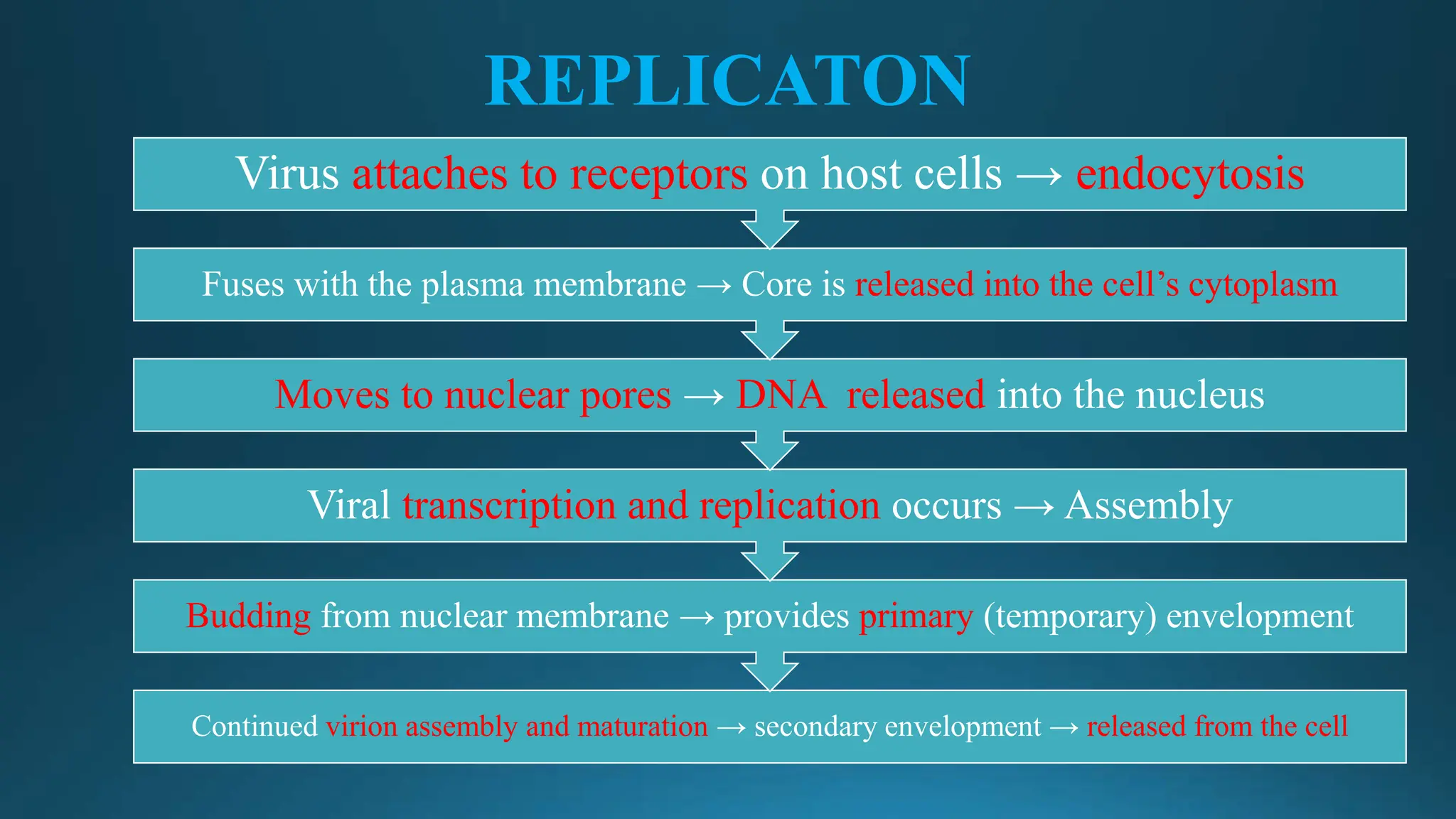 Varicella Zoster Virus (VZV) DNA Virus... | PPT