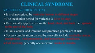Varicella Zoster Virus (VZV) DNA Virus... | PPT