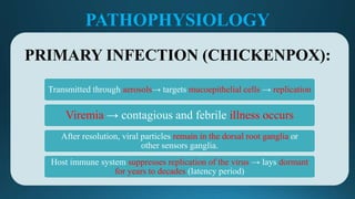 Varicella Zoster Virus (VZV) DNA Virus... | PPT