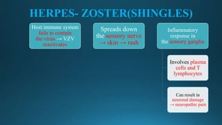 Varicella Zoster Virus (VZV) DNA Virus... | PPT
