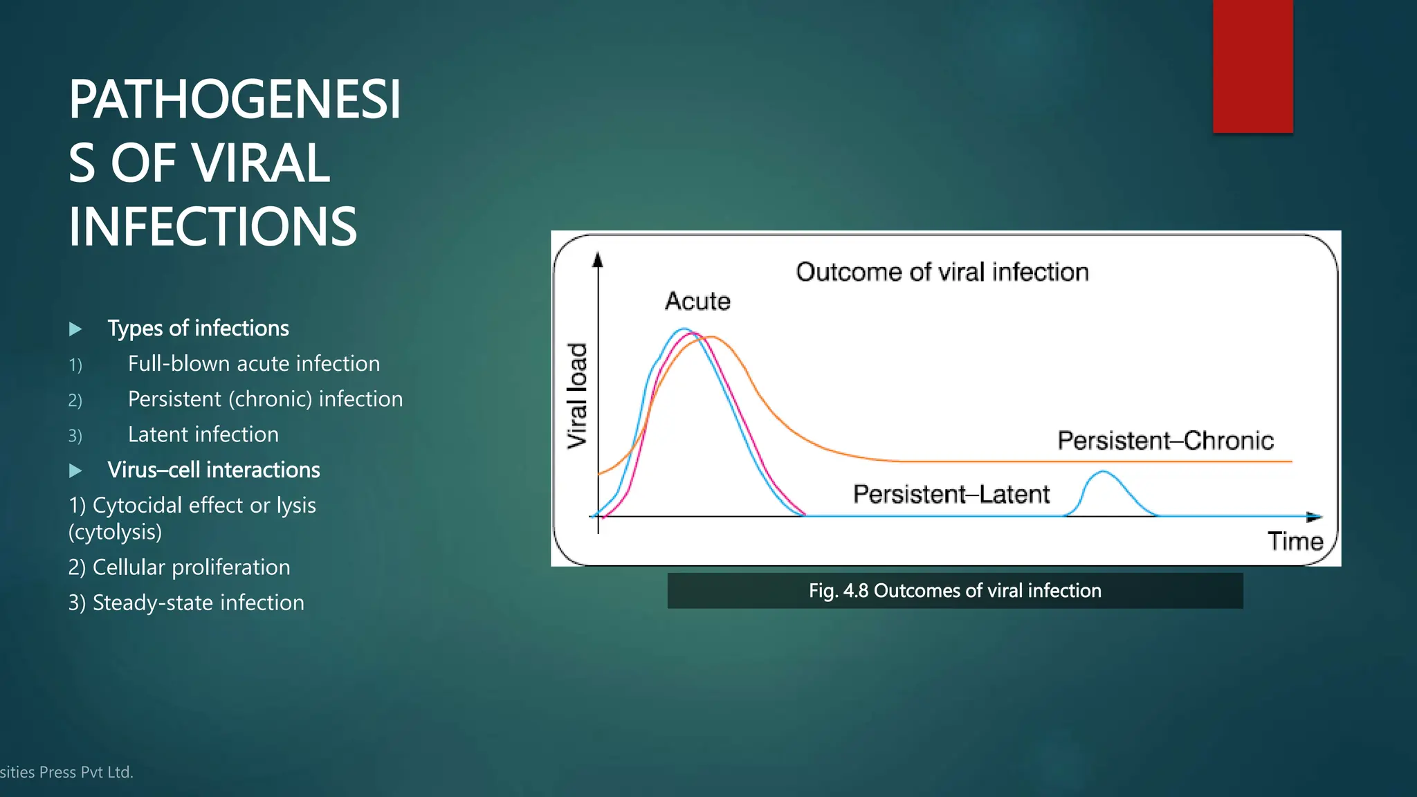 Basics of Virology - Introduction, culture techniques.pptx