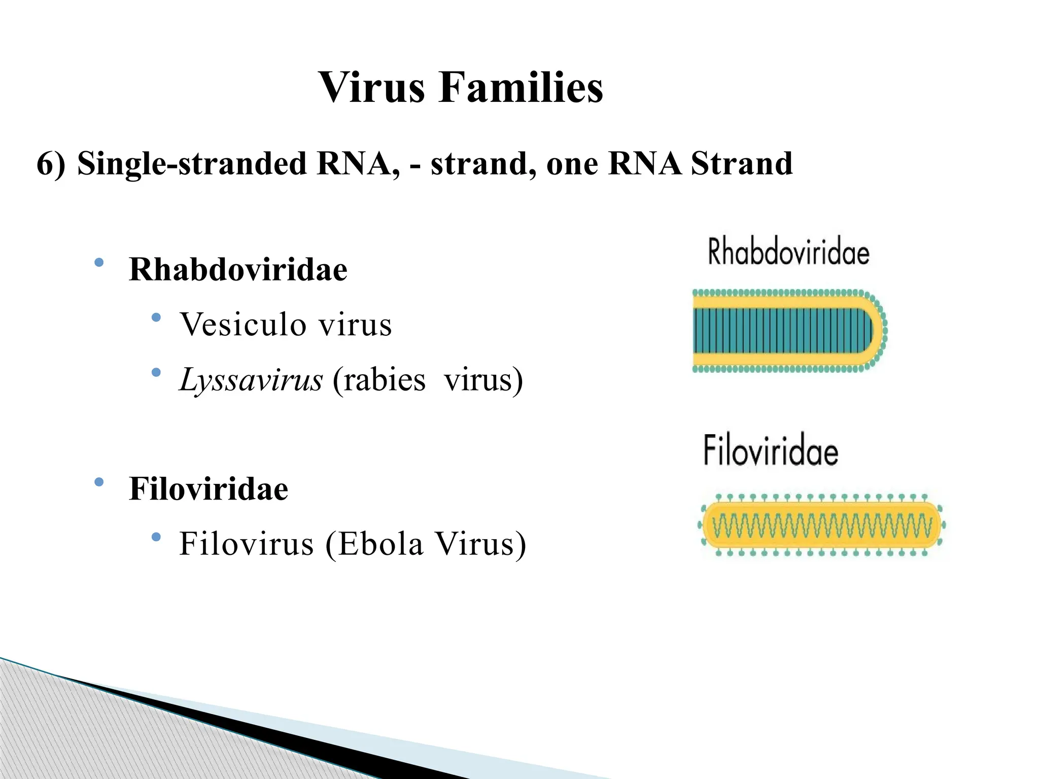 Virology.pptx virus classification nand methods slides | PPTX