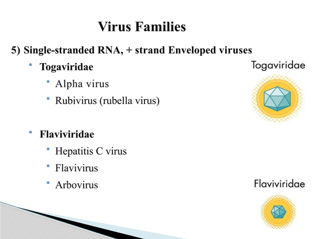 Virology.pptx virus classification nand methods slides | PPTX
