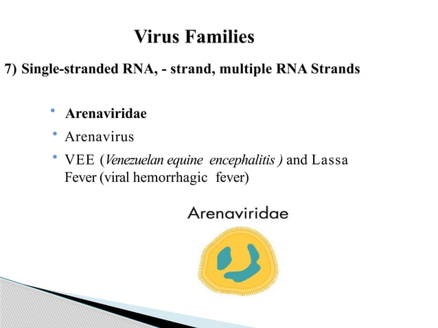 Virology.pptx virus classification nand methods slides | PPTX
