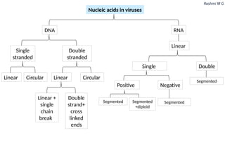 VIROLOGY (Introduction, Claasification of viruses, Purification and ...