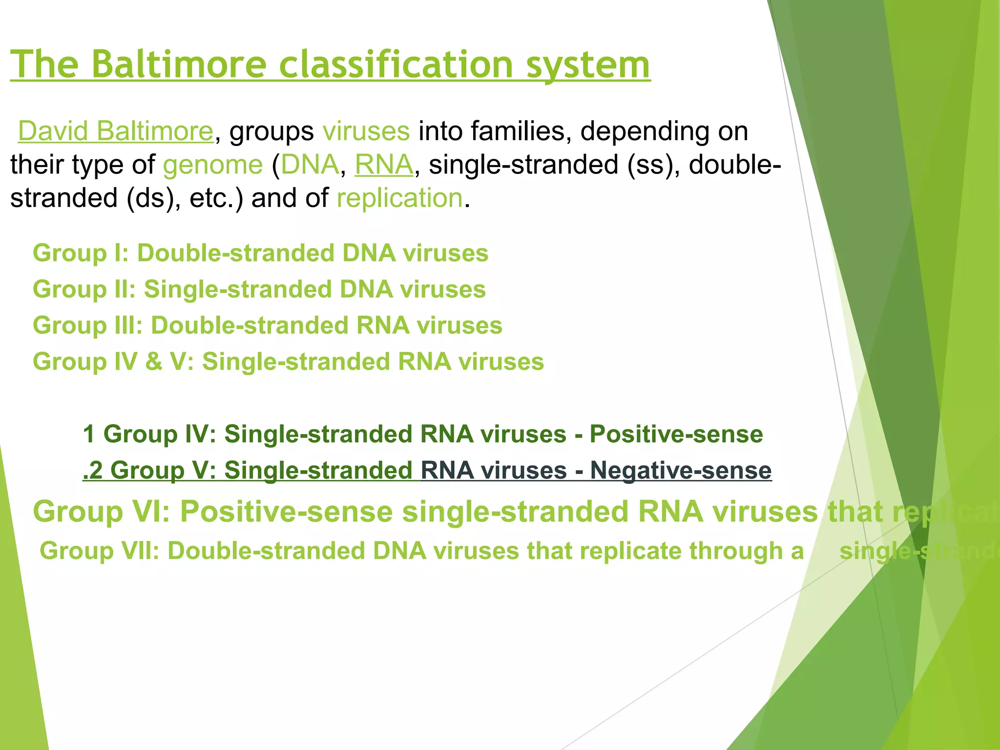 classification of virus and basic terms | PPT