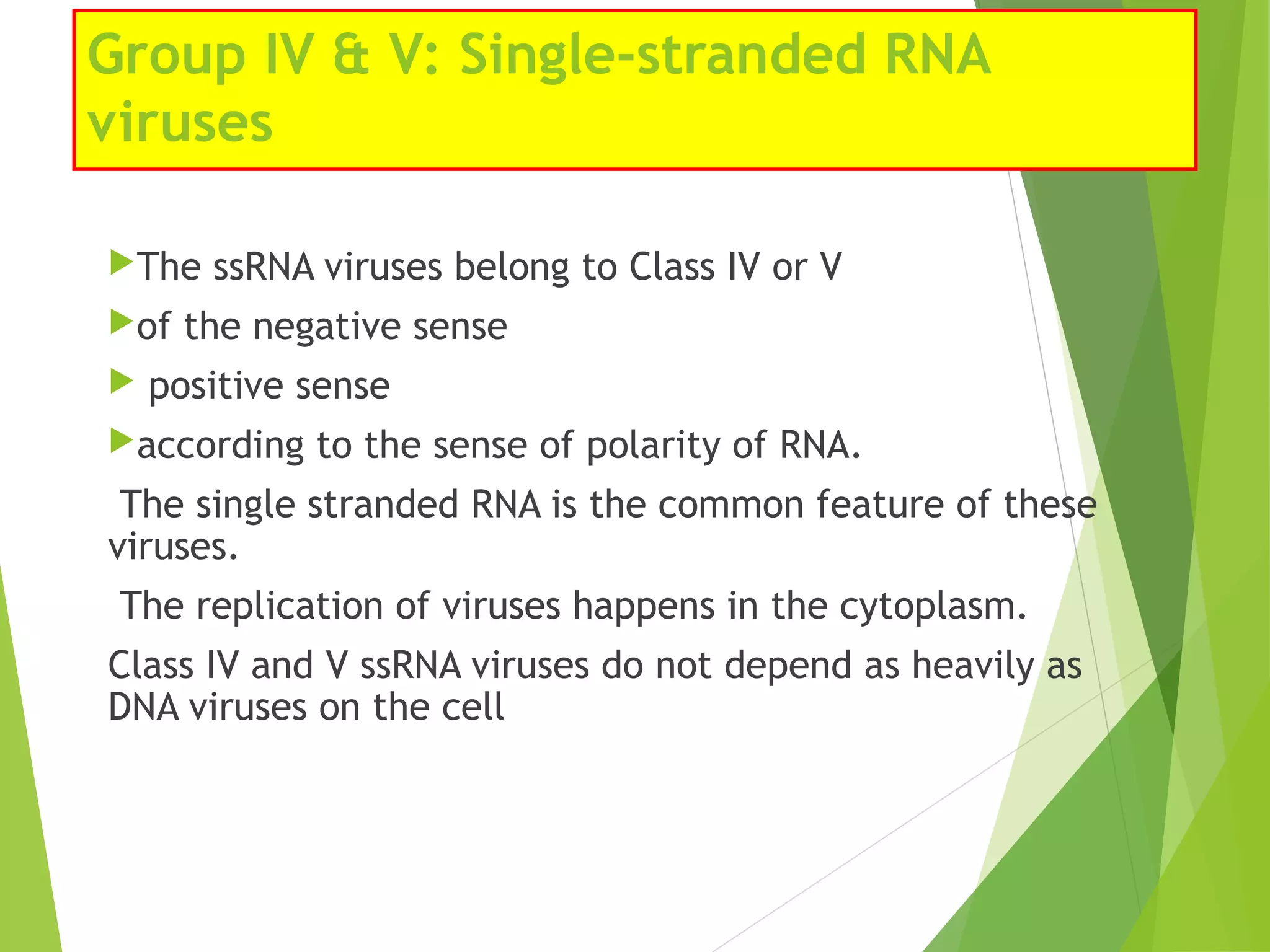 classification of virus and basic terms | PPT