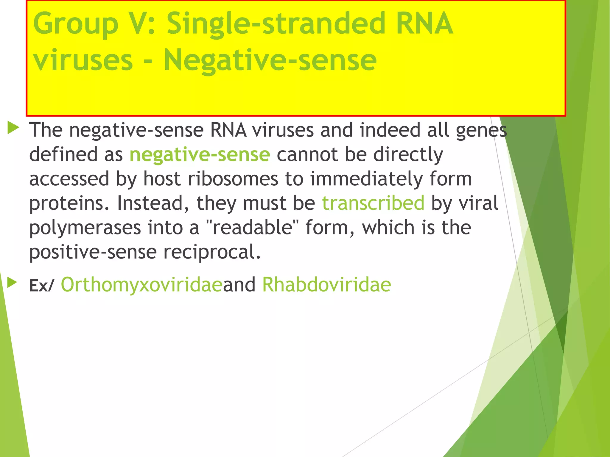 classification of virus and basic terms | PPT