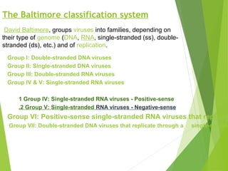 classification of virus and basic terms | PPT