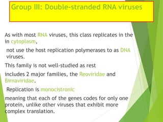 classification of virus and basic terms | PPT