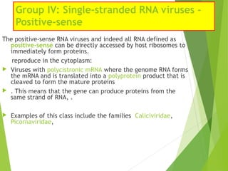 classification of virus and basic terms | PPT