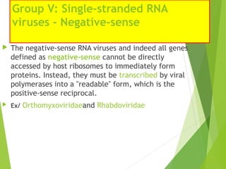 classification of virus and basic terms | PPT