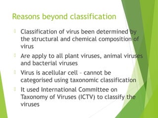 classification of virus and basic terms | PPT