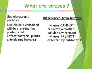 classification of virus and basic terms | PPT