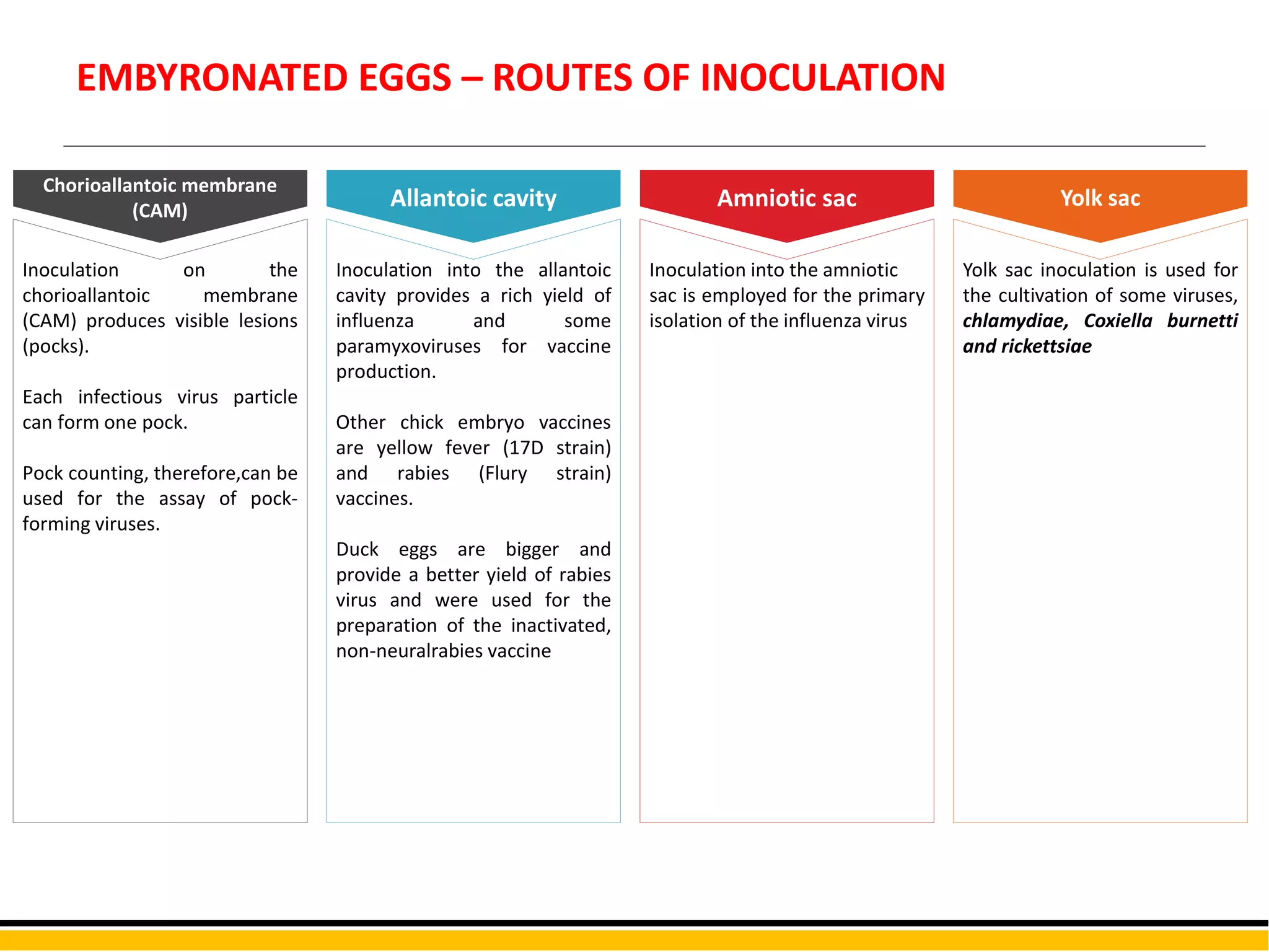 VIROLOGY - CULTIVATION AND DETECTION OF VIRUS | PPTX