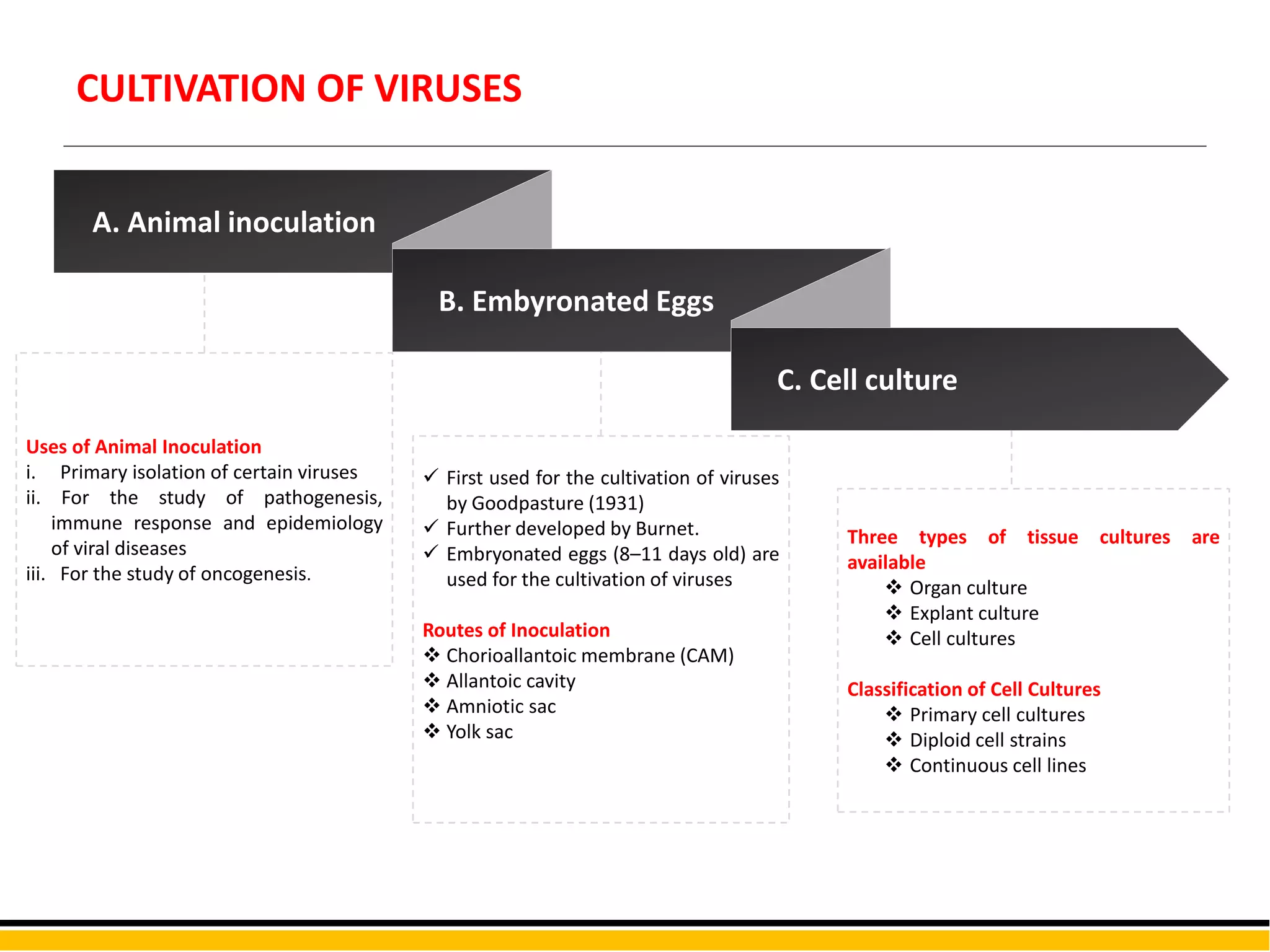 VIROLOGY - CULTIVATION AND DETECTION OF VIRUS | PPTX