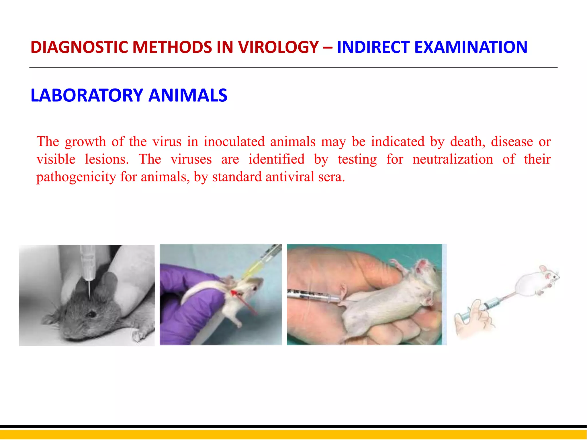 VIROLOGY - DIAGNOSTIC METHODS | PPTX