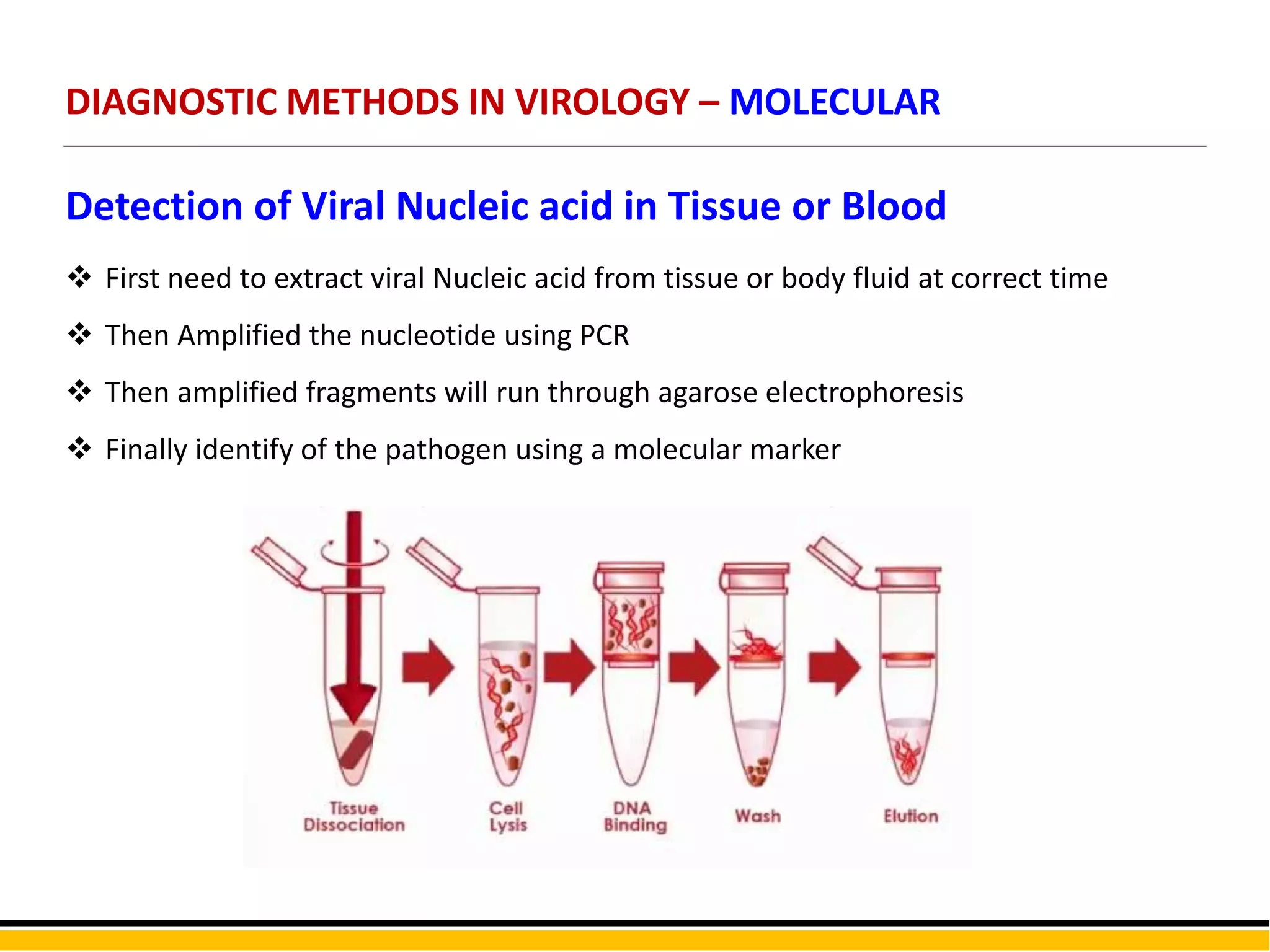 VIROLOGY - DIAGNOSTIC METHODS | PPTX