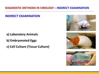 VIROLOGY - DIAGNOSTIC METHODS | PPTX