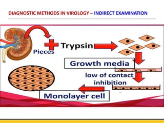 VIROLOGY - DIAGNOSTIC METHODS | PPTX