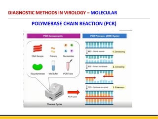 VIROLOGY - DIAGNOSTIC METHODS | PPTX