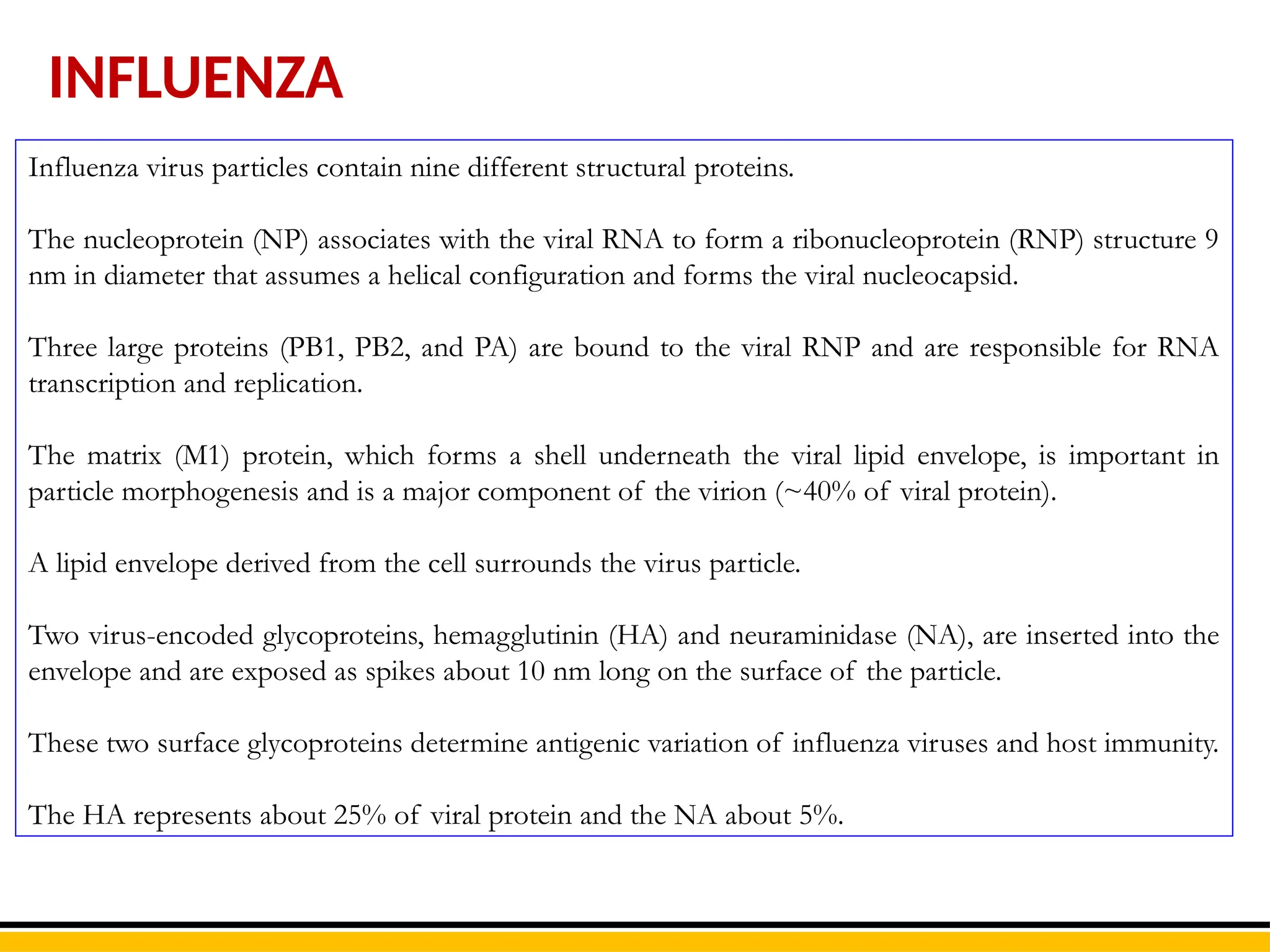 Comprehensive Overview of the Human Influenza Virus | PPTX