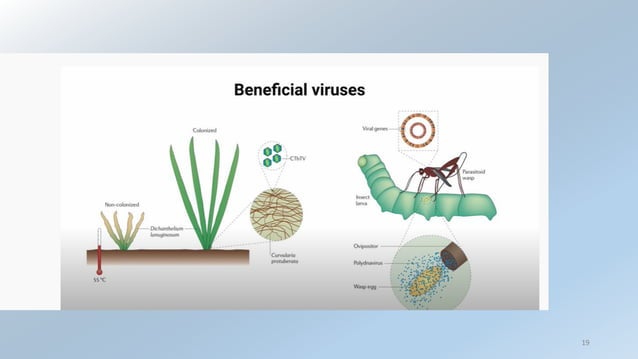Virology-lecture-definition- viruses.pdf