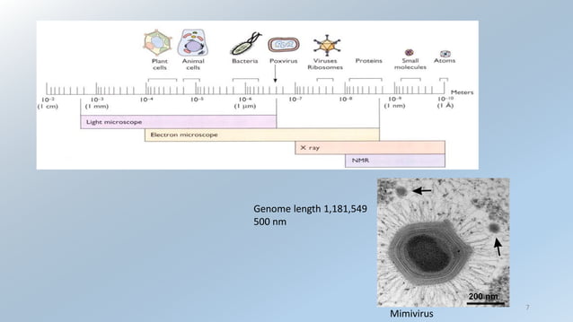 Virology-lecture-definition- viruses.pdf
