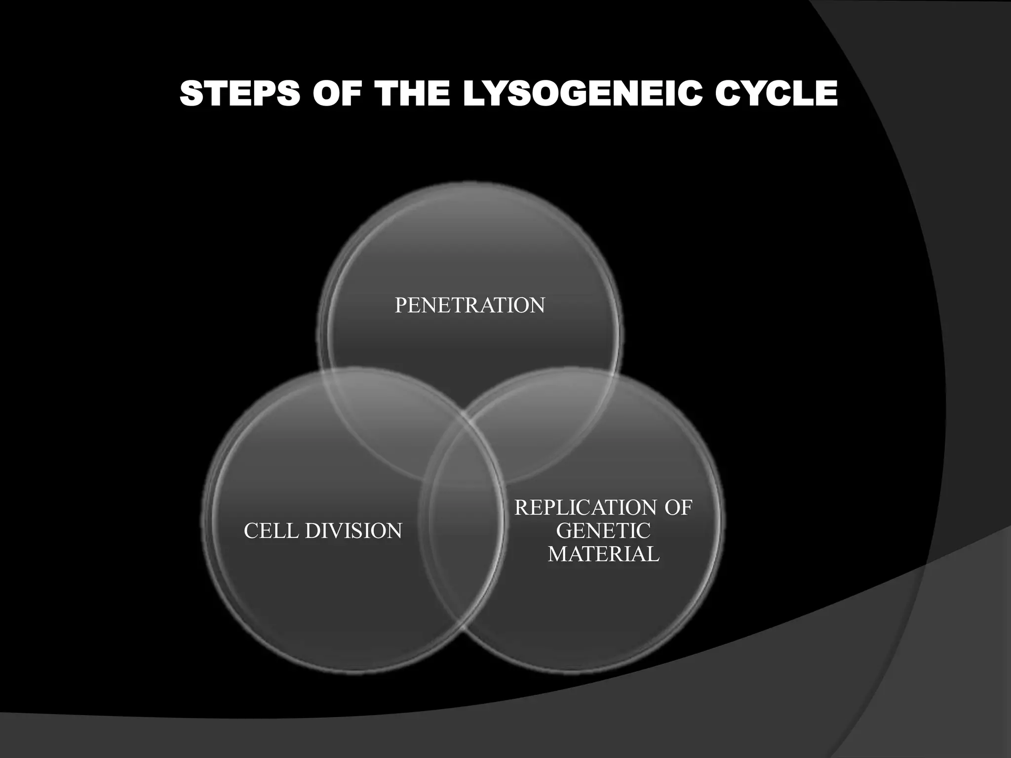 VIROLOGY- LYSOGENIC CYCLE (1).pdf