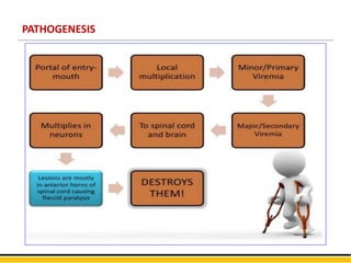 VIROLOGY - POLIO | PPTX