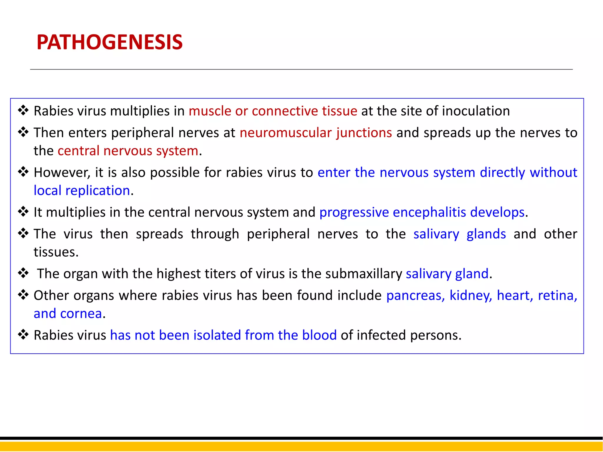 VIROLOGY - RABIES VIRUS | PPTX
