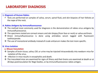 VIROLOGY - RABIES VIRUS | PPTX
