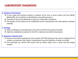 VIROLOGY - RABIES VIRUS | PPTX