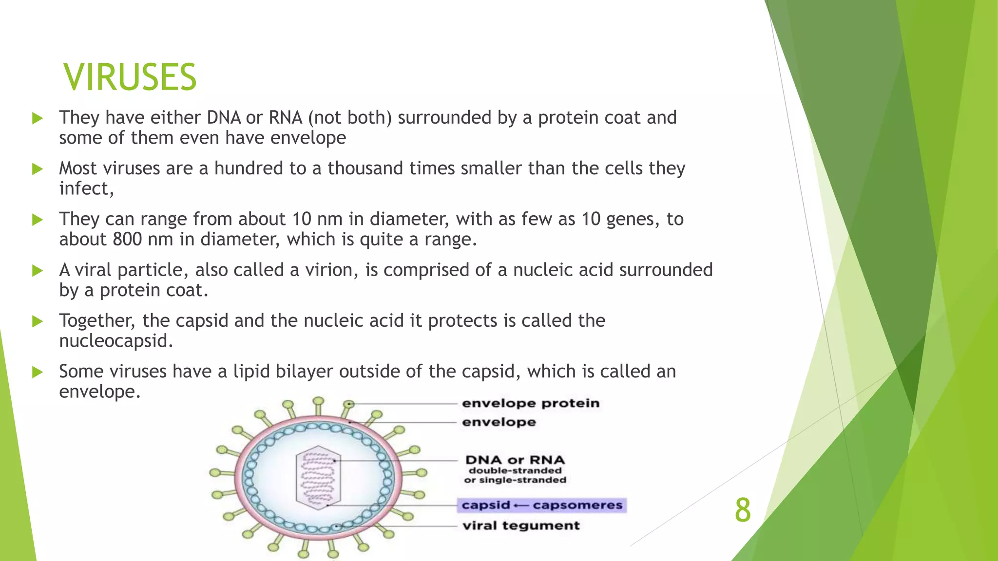 VIROLOGY Presentation.pptx
