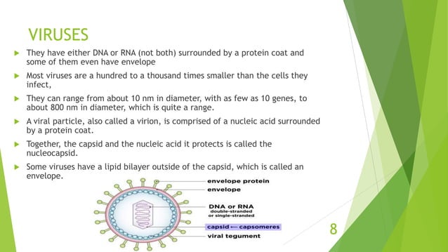 VIROLOGY Presentation.pptx