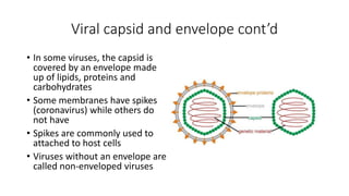 Virology_1.ppt. Introduction on virology | PPTX