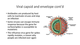 Virology_1.ppt. Introduction on virology | PPT
