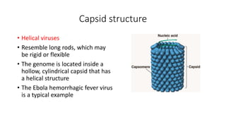 Virology_1.ppt. Introduction on virology | PPT