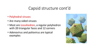 Virology_1.ppt. Introduction on virology | PPT