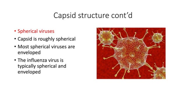 Virology_1.ppt. Introduction on virology | PPT | Free Download
