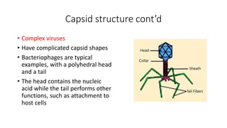 Virology_1.ppt. Introduction on virology | PPT