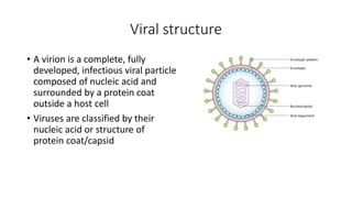 Virology_1.ppt. Introduction on virology | PPT