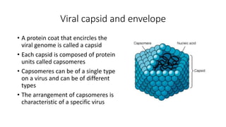 Virology_1.ppt. Introduction on virology | PPT