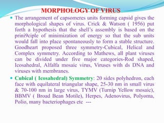 Virus-Morphology, General structures and classification | PPT
