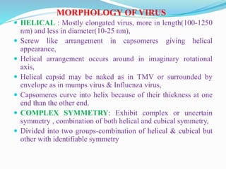 Virus-Morphology, General structures and classification | PPT