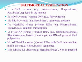 Virus-Morphology, General structures and classification | PPT
